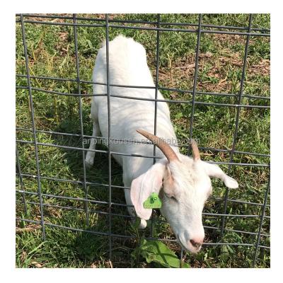 Cina Fence per bovini di fattoria rete di filo galvanizzato di campo Sqaure e polvere rivestita per pecore cervo cavallo in vendita
