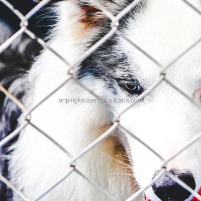 Cina Fence per bovini di fattoria rete di filo galvanizzato di campo Sqaure e polvere rivestita per pecore cervo cavallo in vendita