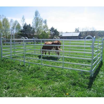 Cina Fence per bovini di fattoria rete di filo galvanizzato di campo Sqaure e polvere rivestita per pecore cervo cavallo in vendita