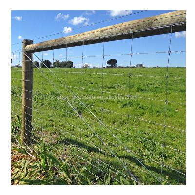 Cina Fence galvanizzata a nodo fisso per allevamenti di bovini/ovini/cervi in vendita