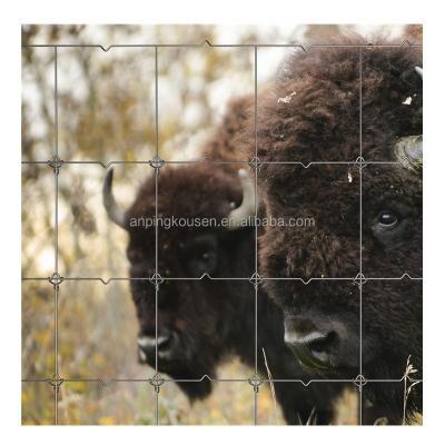 Cina Hot Dip Galvanizzato 0,7 mm Griglia esagonale per recinzione di sicurezza e Field Farm Animal Fence in vendita