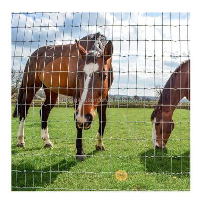 Cina Hot Dip Galvanizzato 0,7 mm Griglia esagonale per recinzione di sicurezza e Field Farm Animal Fence in vendita