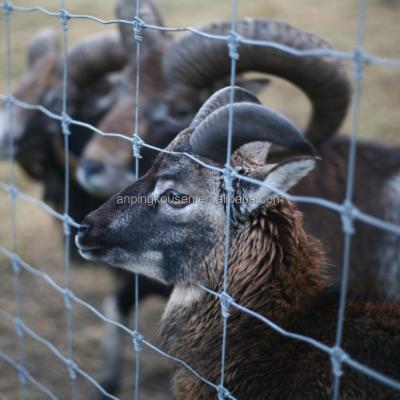 Cina Fence di fattoria Fence a rotolo a maglia metallica per pecore e capre Altezza 0,8-2,4m Proteggere il tuo bestiame in vendita