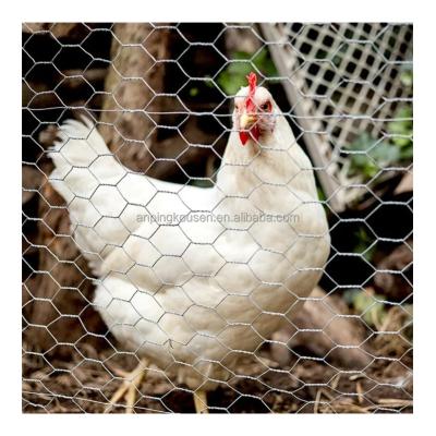 China Madeira tratada sob pressão Cercas de frango para galinheiros em fazendas comerciais de frango à venda