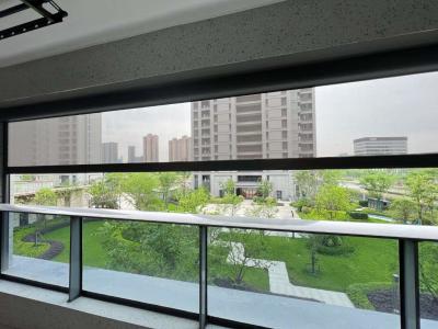 Cina Ombra solare per esterni Smart Motorized Zip Track Blinds / Roller Zip Track Outdoor Roller Blinds in vendita