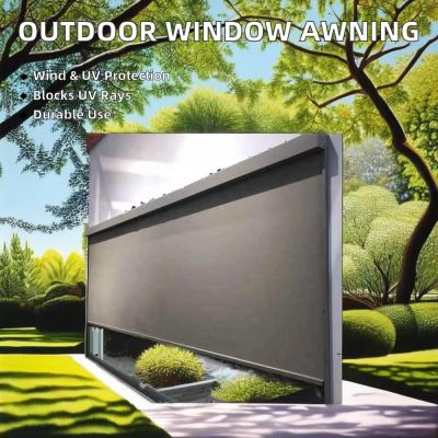 China Outdoor Smart Window Sunshade/Windproof Roller Awning Zip Track Blinds for sale