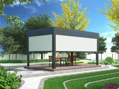 China Outdoor Smart Window Sunshade/Windproof Roller Awning Zip Track Blinds for sale