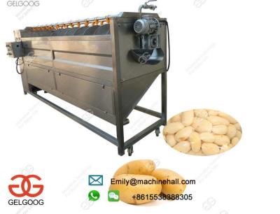 China High Efficiency Potato Washing and Peeling Machine In French Fries Production Line Or Potato Chips Production Line for sale