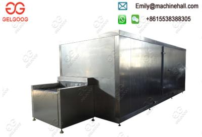 China IQF Vegetable and Fruit Freezing Equipment/Commercial Frozen Vegetable and Fruit Freezer Machine for sale