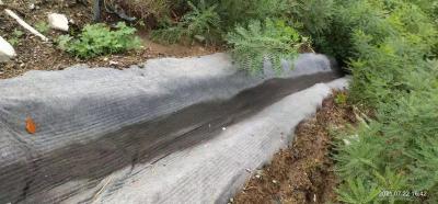 Cement Sand Concrete Erosion Mats GCCM Rolls For Vegetation Control
