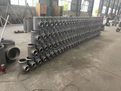 Cina Montaggi dei giunti di tubo filettato della saldatura dell'incavo colare le guarnizioni della prova in vendita