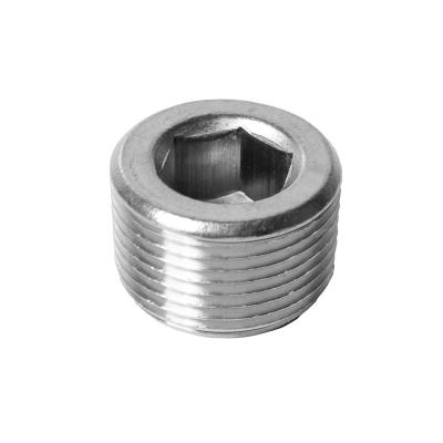 China GB 304 304L Pipe Connector Screw Screwed Socket Welded Pipe Fittings Hex Plug for sale