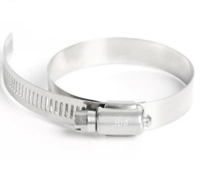 Cina Accessori per tubi sanitari di SS304 8-12mm singolo Pin Stainless Steel Hose Clamp in vendita