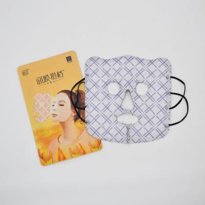 Cina Maschera per il viso a vapore a riscaldamento automatico Umidificatore professionale per la cura del viso in vendita