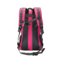 China Pink Waterproof 20L Lightweight Functional Hiking Backpack for sale