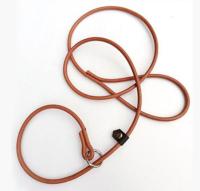 China Multifunctional Consice PU Leather Pet Collar Leash for sale