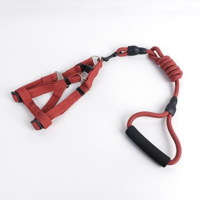 中国 普通サイズ調節可能なナイロン犬の鎖および馬具 販売のため