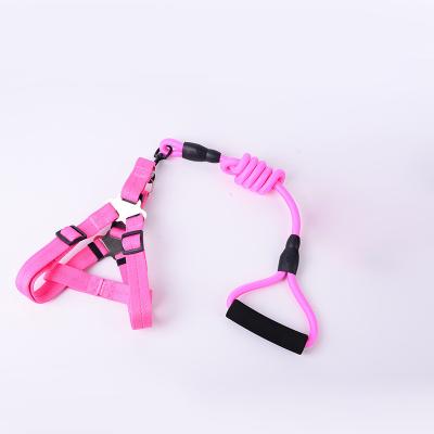 中国 普通サイズ調節可能なナイロン犬の鎖および馬具 販売のため