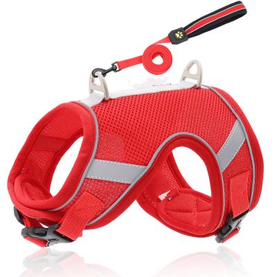 Cina Cat Harness And Leash Set respirabile, ha riempito la S la m. la L insieme della cinghia del cane di XL in vendita