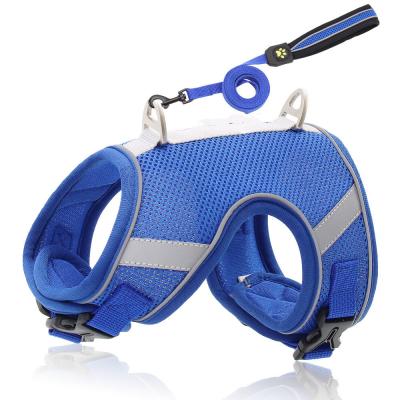 Cina Cat Harness And Leash Set respirabile, ha riempito la S la m. la L insieme della cinghia del cane di XL in vendita