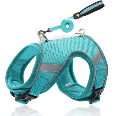 Cina Cat Harness And Leash Set respirabile, ha riempito la S la m. la L insieme della cinghia del cane di XL in vendita