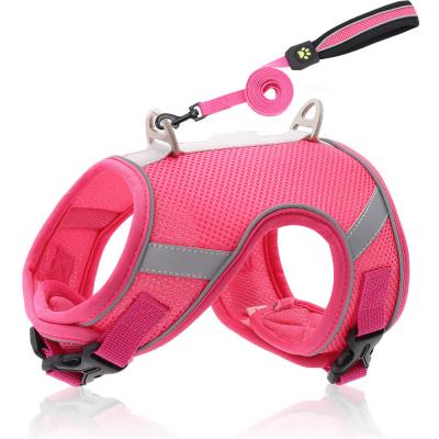 Cina Cat Harness And Leash Set respirabile, ha riempito la S la m. la L insieme della cinghia del cane di XL in vendita