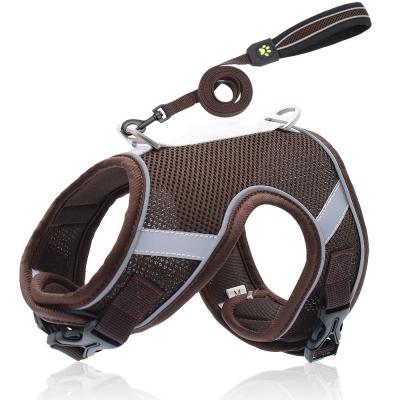Cina Cat Harness And Leash Set respirabile, ha riempito la S la m. la L insieme della cinghia del cane di XL in vendita