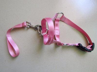 Cina Museruola molle intrecciata nylon per colore dell'anti corteccia dei cani multi in vendita