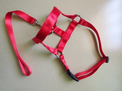 Cina Museruola molle intrecciata nylon per colore dell'anti corteccia dei cani multi in vendita