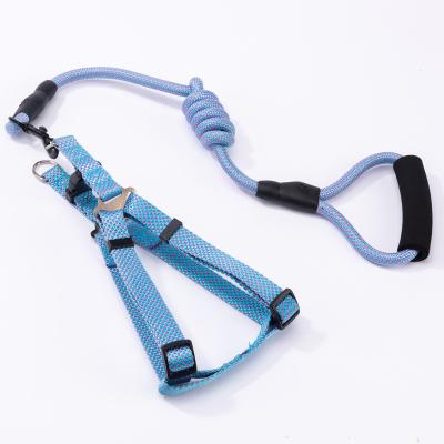 Cina Guinzaglio del collare dell'animale domestico dei pp S-L Light Weight Adjustable per i cani in vendita