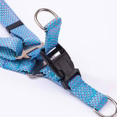 Cina Guinzaglio del collare dell'animale domestico dei pp S-L Light Weight Adjustable per i cani in vendita