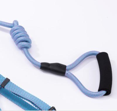 Cina Guinzaglio del collare dell'animale domestico dei pp S-L Light Weight Adjustable per i cani in vendita