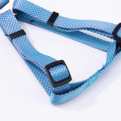 Cina Guinzaglio del collare dell'animale domestico dei pp S-L Light Weight Adjustable per i cani in vendita