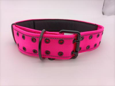 Cina Collare di cane respirabile leggero eccellente riempito del neoprene di nylon molle regolabile per il cane di media grandezza in vendita
