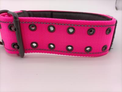 Cina Collare di cane respirabile leggero eccellente riempito del neoprene di nylon molle regolabile per il cane di media grandezza in vendita