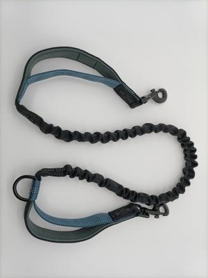 Cina Il doppio mani libere dell'ammortizzatore ausiliario di lunghezza d'onda del cavo del cane tratta il guinzaglio del seguace servile in vendita