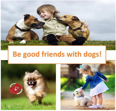 China De tand Schoonmakende Giftige Brandkast van het Hond Interactieve Speelgoed niet kauwt Speelgoed voor Honden Te koop