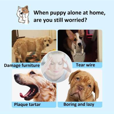 中国 相互ハンドメイドの子犬の咀嚼犬は有機性綿ロープをもてあそぶ 販売のため