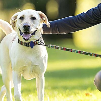 Cina Supporto lavabile dell'aria del protettore resistente agli urti dell'etichetta per il gatto del cane in vendita