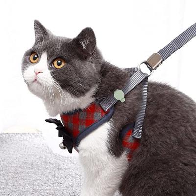 Cina Supporto lavabile dell'aria del protettore resistente agli urti dell'etichetta per il gatto del cane in vendita
