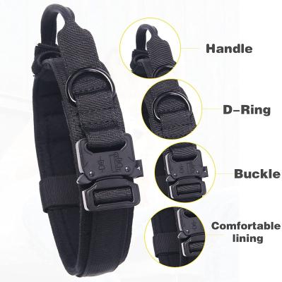 China Nylon van de de Kraagleiband van het Handvathuisdier de Douaneontwerp van Bungee Regelbaar Te koop