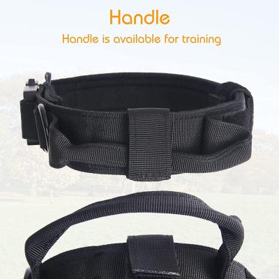 China Nylon van de de Kraagleiband van het Handvathuisdier de Douaneontwerp van Bungee Regelbaar Te koop