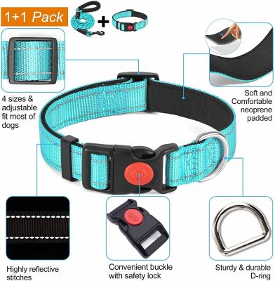 Cina Maniglia riempita neoprene rampicante intrecciata del guinzaglio del collare dell'animale domestico in vendita