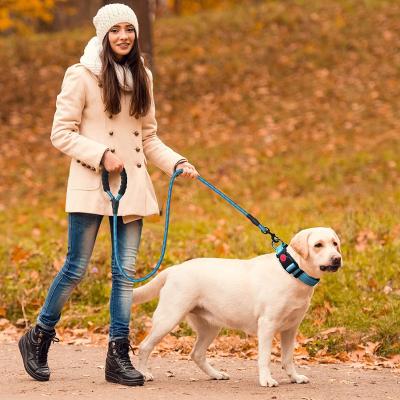 Cina Maniglia riempita neoprene rampicante intrecciata del guinzaglio del collare dell'animale domestico in vendita