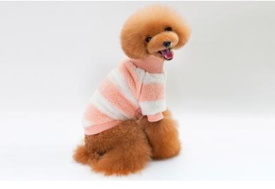 Cina Il fiore luminoso del guinzaglio del collare dell'animale domestico ha modellato il vello caldo dell'inverno in vendita