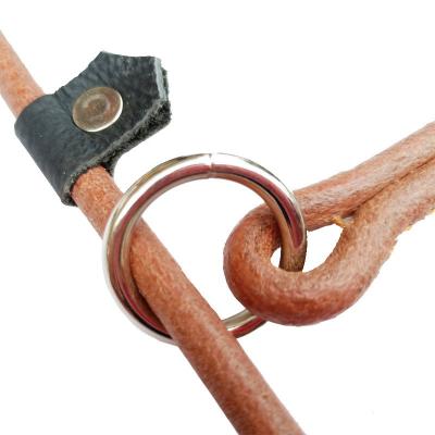 Cina Unità di elaborazione personale di Consice nessuno slittamento di formazione di cuoio regolabile di trazione del guinzaglio del cane del bene durevole in vendita