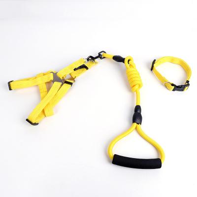 Cina L'OEM ha personalizzato l'insieme di nylon regolabile del cablaggio del guinzaglio del collare di cane del piccolo cucciolo di dimensione media in vendita