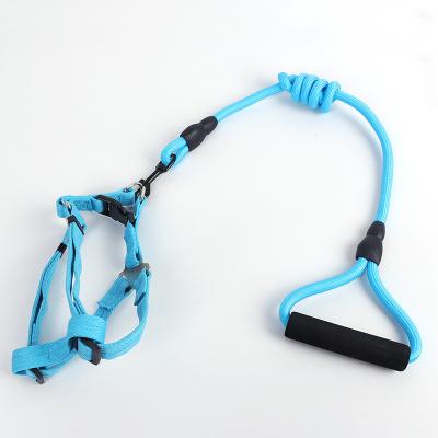 Cina L'OEM ha personalizzato l'insieme di nylon regolabile del cablaggio del guinzaglio del collare di cane del piccolo cucciolo di dimensione media in vendita