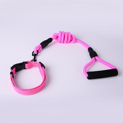 Cina L'OEM ha personalizzato l'insieme di nylon regolabile del cablaggio del guinzaglio del collare di cane del piccolo cucciolo di dimensione media in vendita