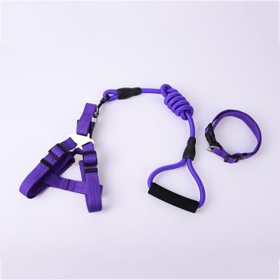 Cina L'OEM ha personalizzato l'insieme di nylon regolabile del cablaggio del guinzaglio del collare di cane del piccolo cucciolo di dimensione media in vendita